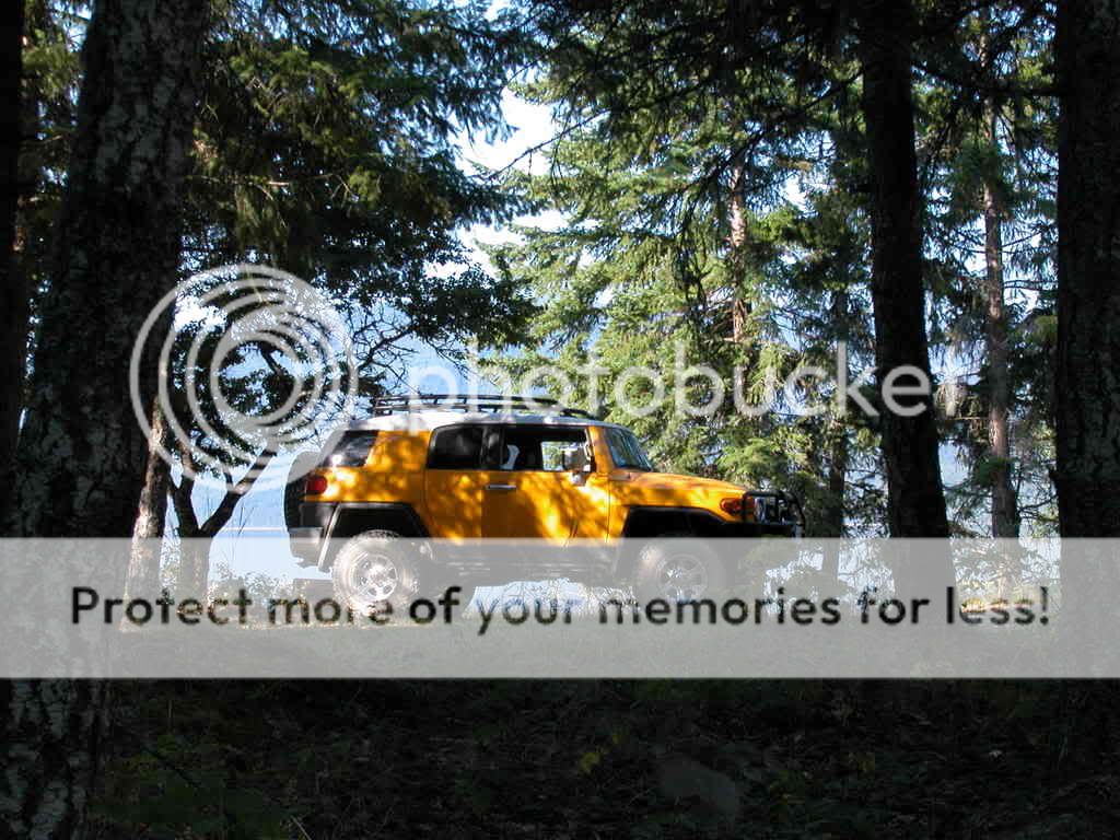 BFG LT255/R85/16 + Dick Cepek DC-1 | Toyota FJ Cruiser Forum